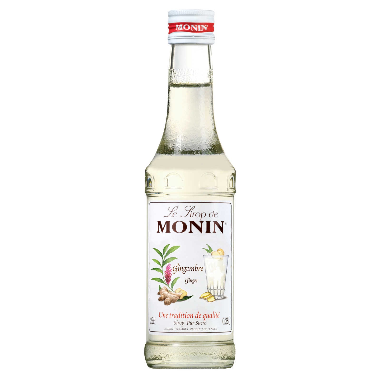 Monin | Monin Gingembre 250 ml |Sirop|Monin Sirop Ginger 25cl | 25 cl ...