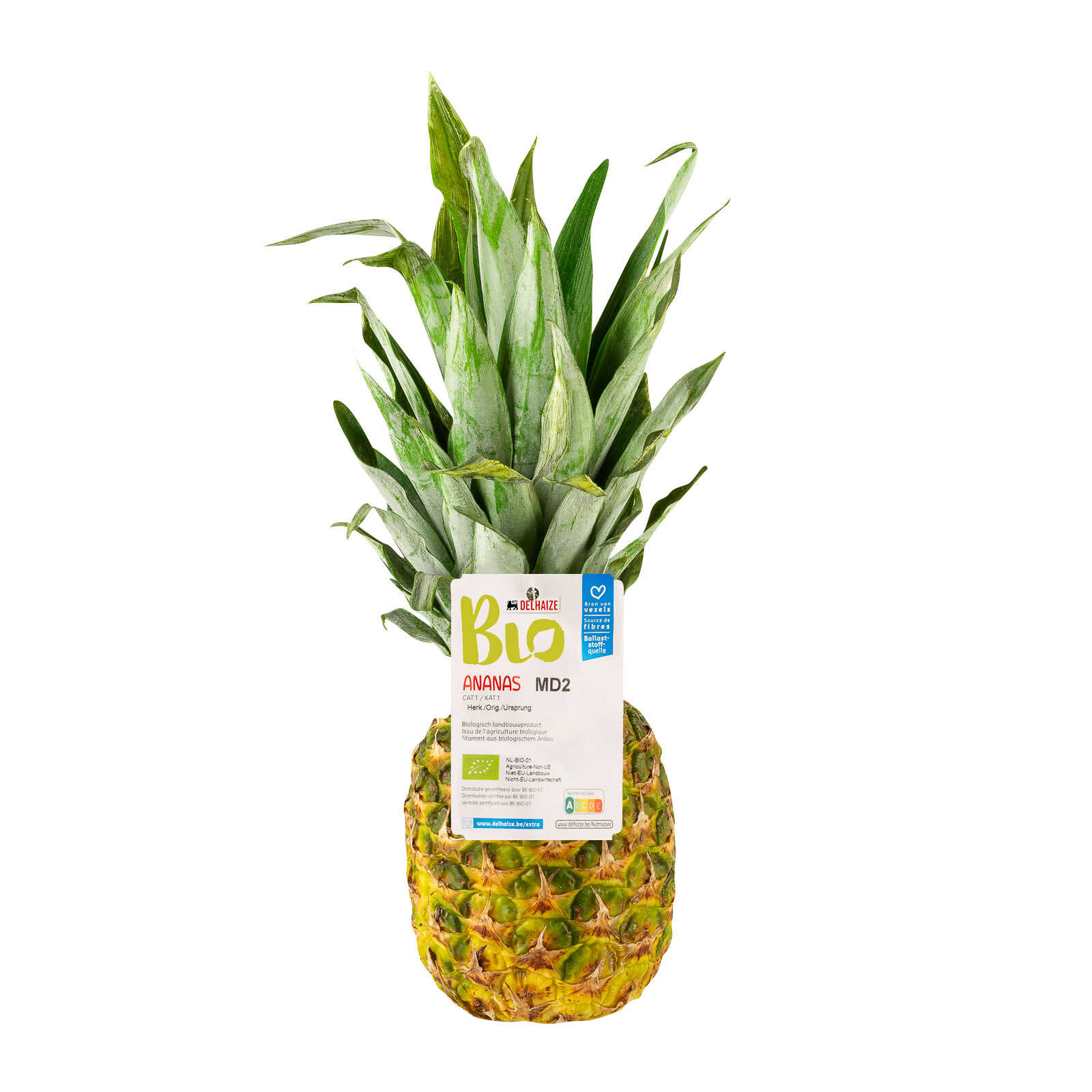 Delhaize | Bio | Ananas | Bio | 1 pc | Delhaize