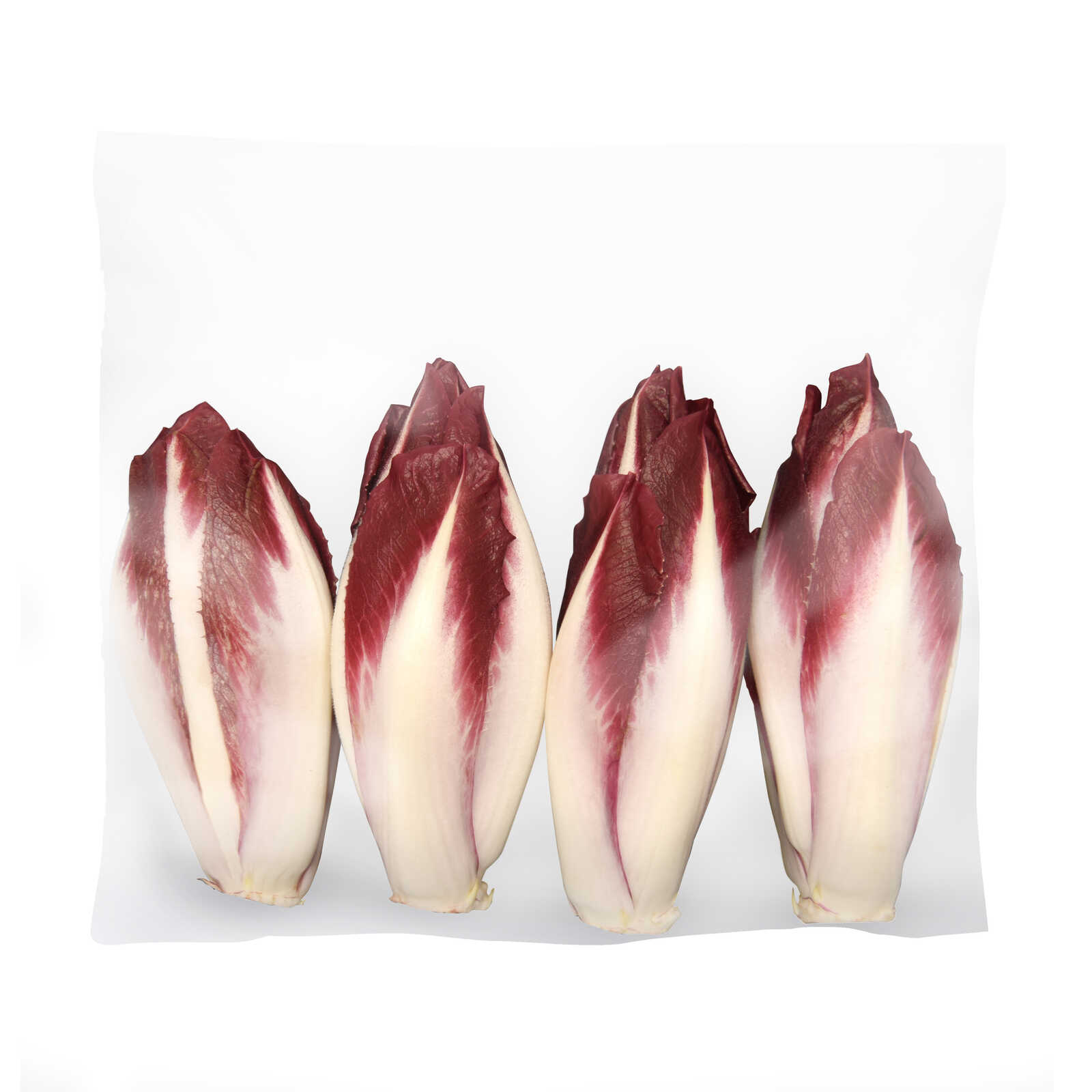Delhaize | Rode witloof | 300 gr | Delhaize