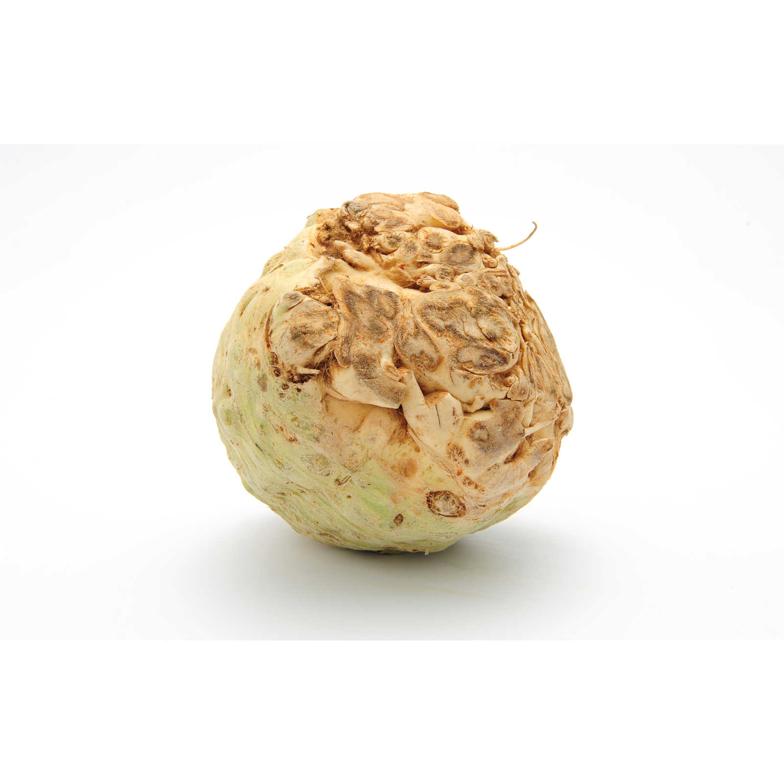 Delhaize | KNOLSELDER | 1 st | Delhaize