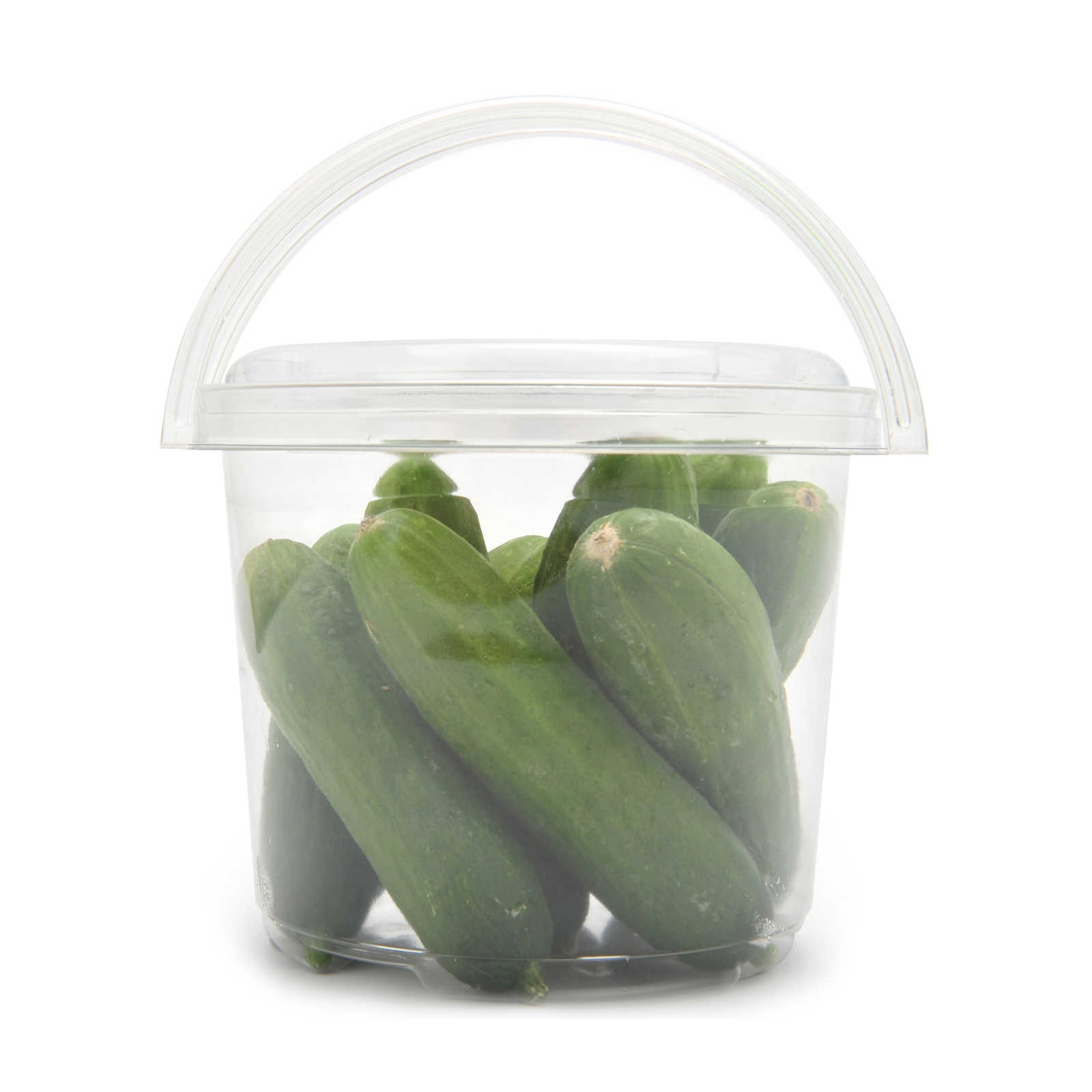 Delhaize | MINI CONCOMBRE | Seau | 1 pc | Delhaize