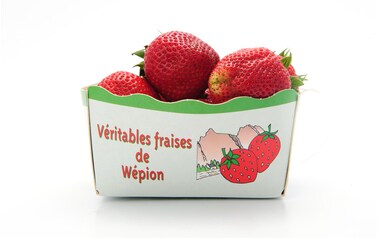 Delhaize | Fraises de Wépion | Emballé par ravier | 500 gr | Delhaize