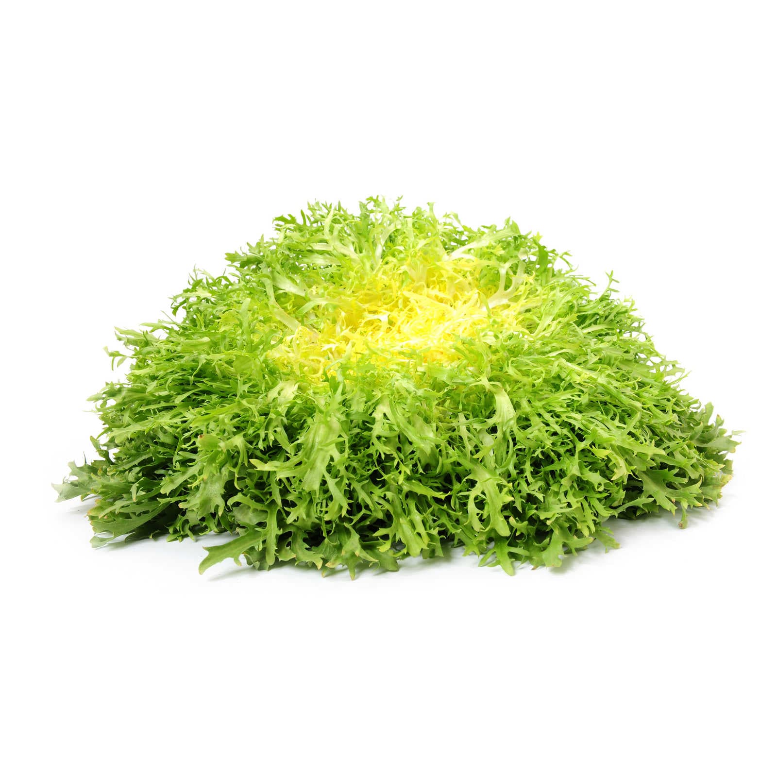 Delhaize | Frisée Endive | 1 pc | Delhaize