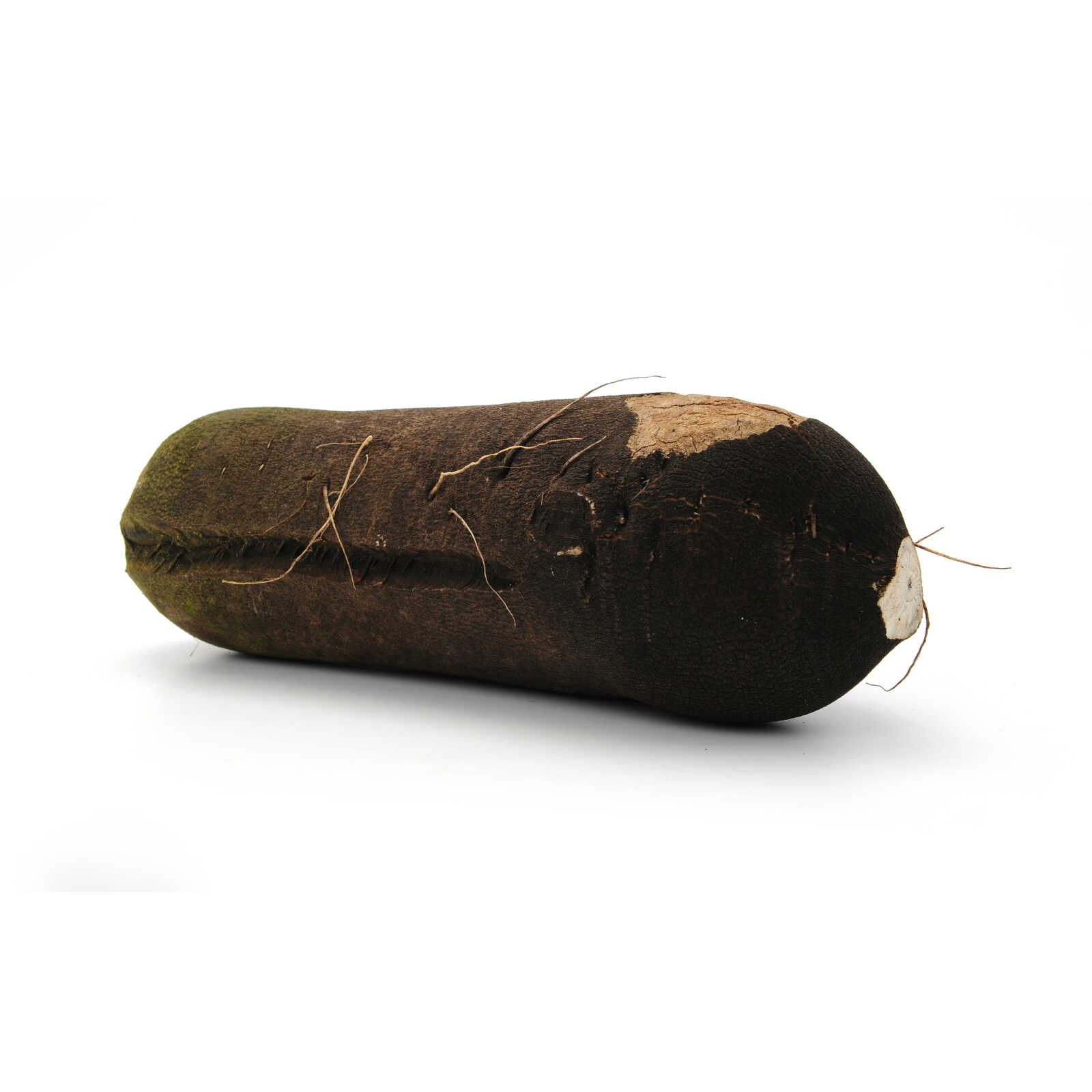 Delhaize | Zwarte ramenas | Cat1 | 1 st | Delhaize