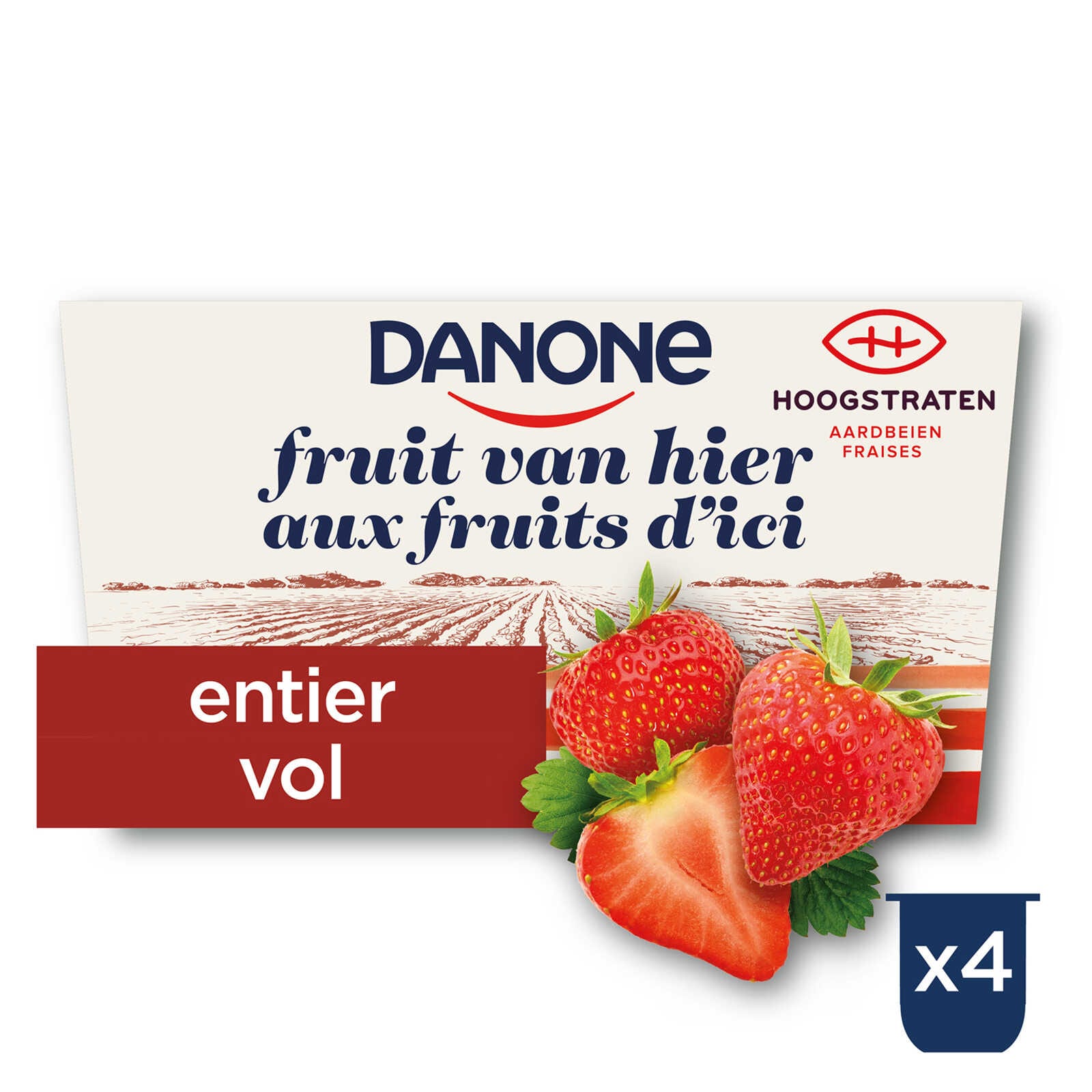 Danone | Yaourt | Entier | Fraises Hoogstraten | 4 x 125 gr | Delhaize